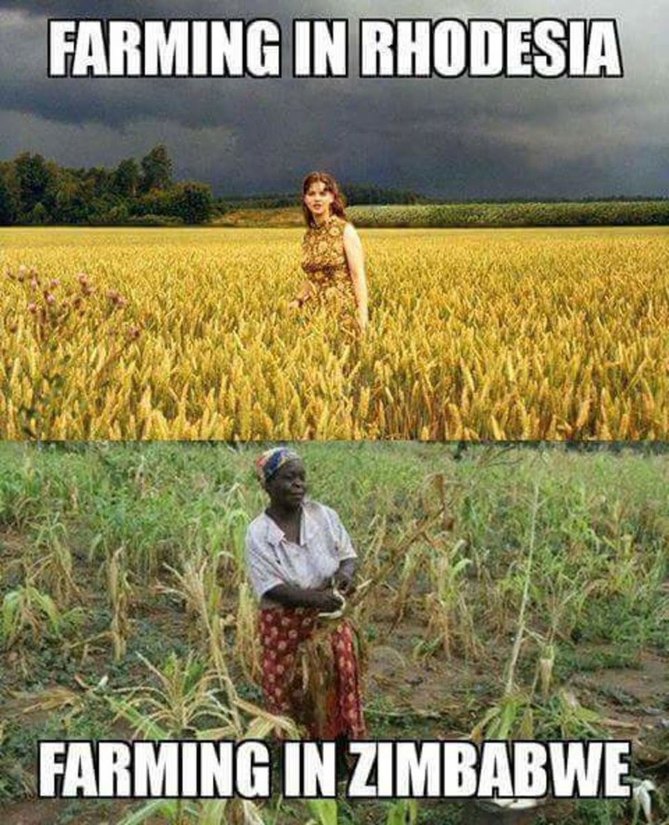 here they banned & killed white people & farmers... - Meme by ...