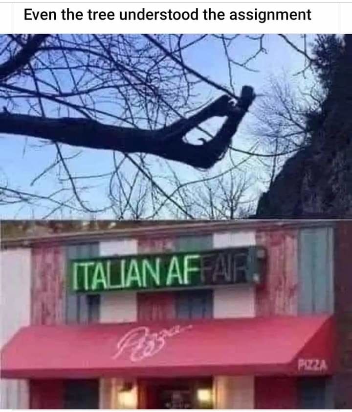 The best Italian memes :) Memedroid