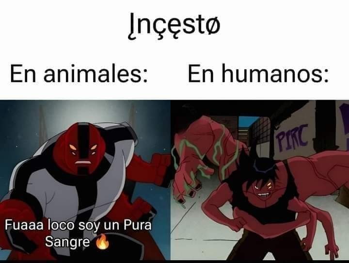 Los Últimos Memes :) Memedroid