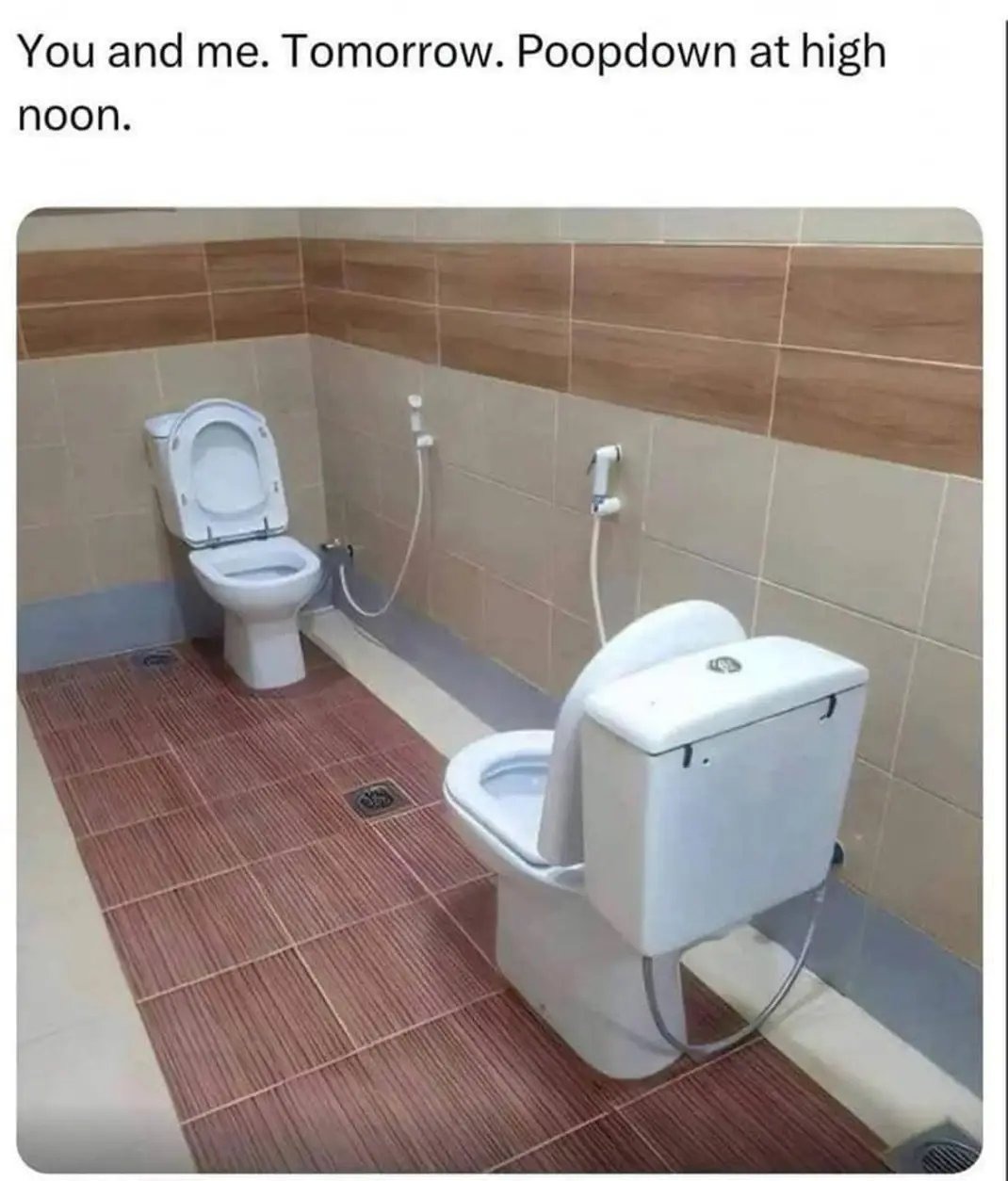 The best Toilet memes :) Memedroid