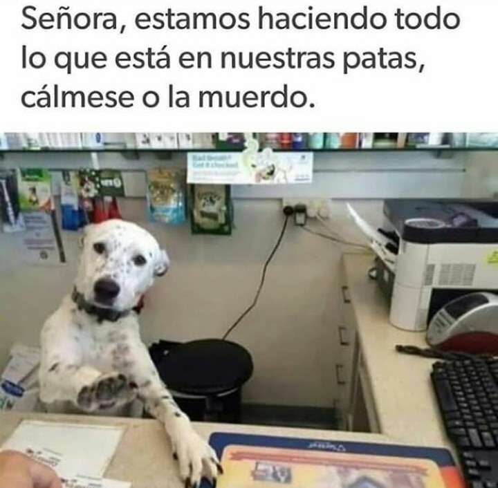 Guau - Meme subido por ytuquemiras :) Memedroid