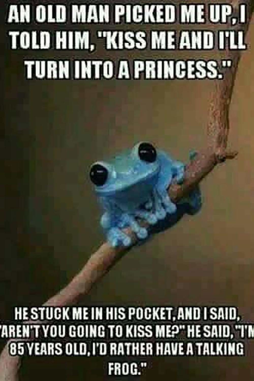 Talking frog would be nice - Meme by MemeoryLaine :) Memedroid