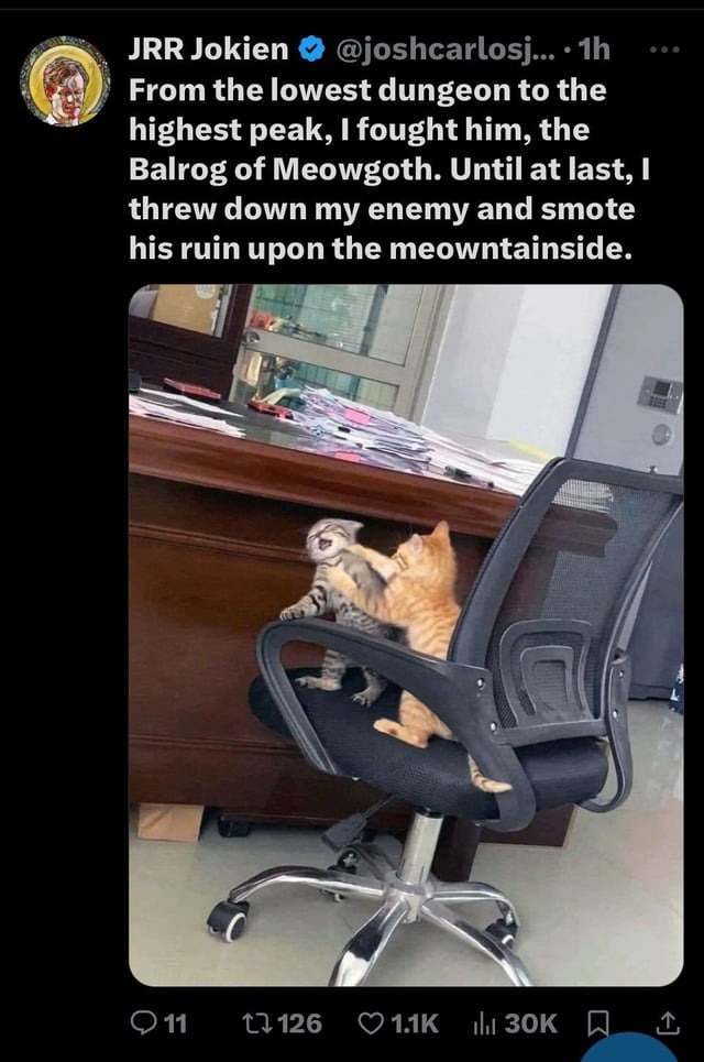 The best Gandalf memes :) Memedroid