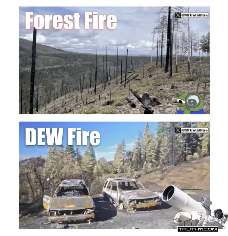 Forest Firefighter Memes