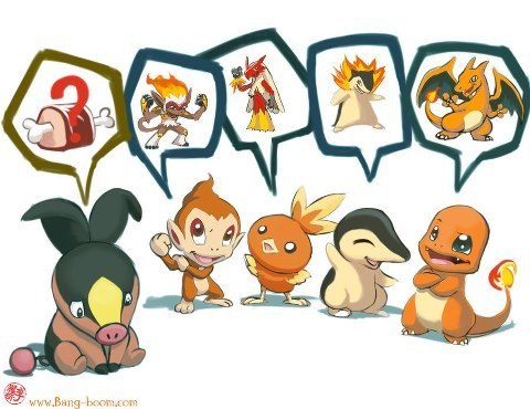 Pobre tepig - Meme subido por shaymin :) Memedroid