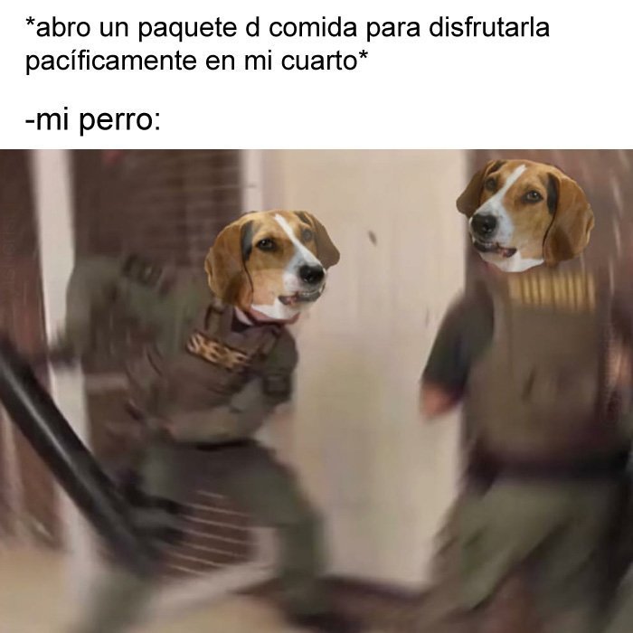 Firulais - Meme subido por ManuMora :) Memedroid