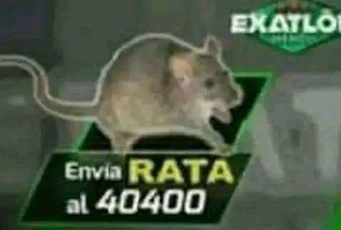 Los Últimos Memes :) Memedroid