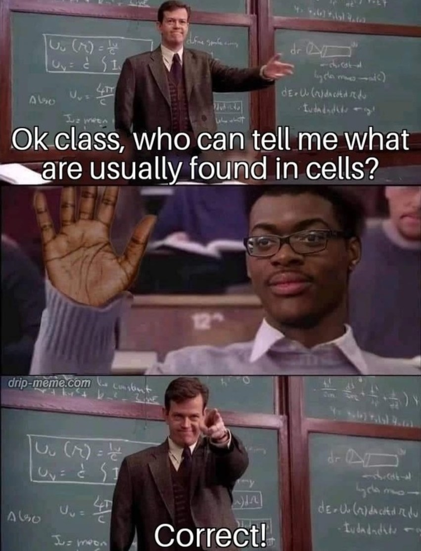 The Latest Memes :) Memedroid