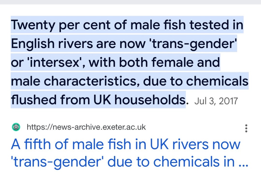 The best Fish memes :) Memedroid