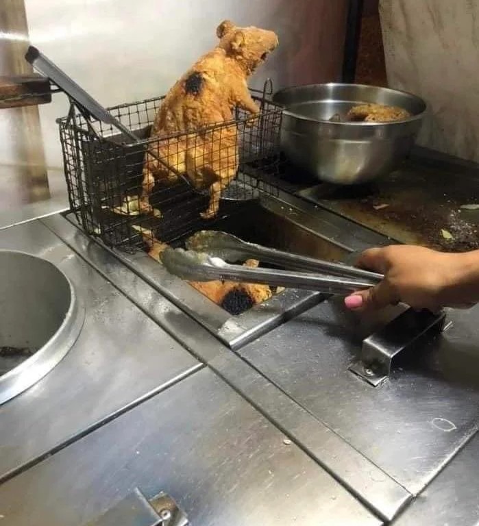 Los Últimos Memes :) Memedroid