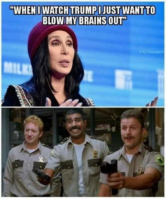 The best Cher memes :) Memedroid
