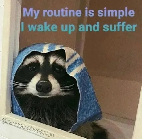 The best Routine memes :) Memedroid