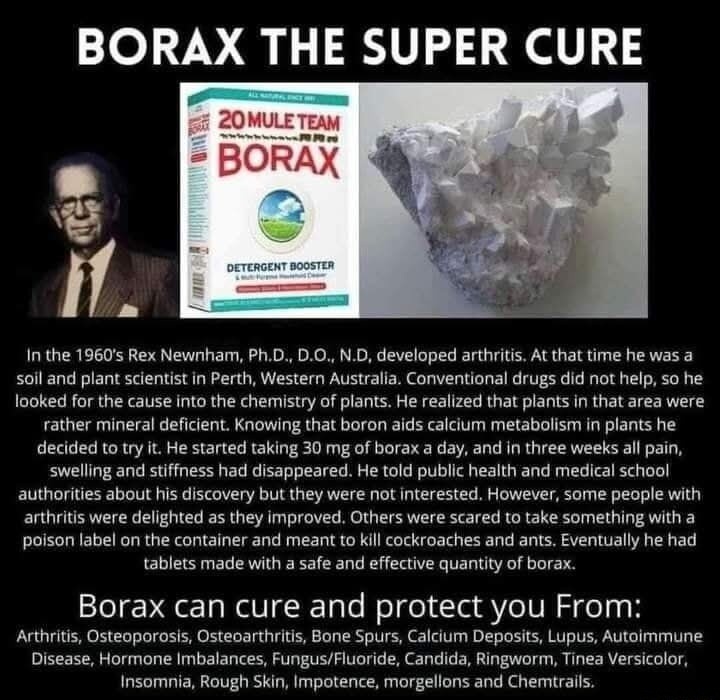 The best Borax memes :) Memedroid