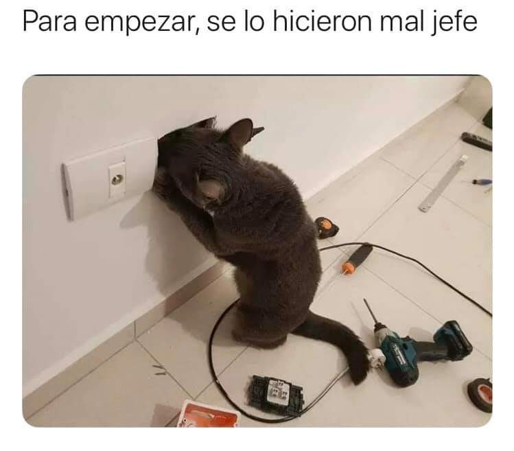 Gato eléctrico - Meme subido por wolschaldo :) Memedroid