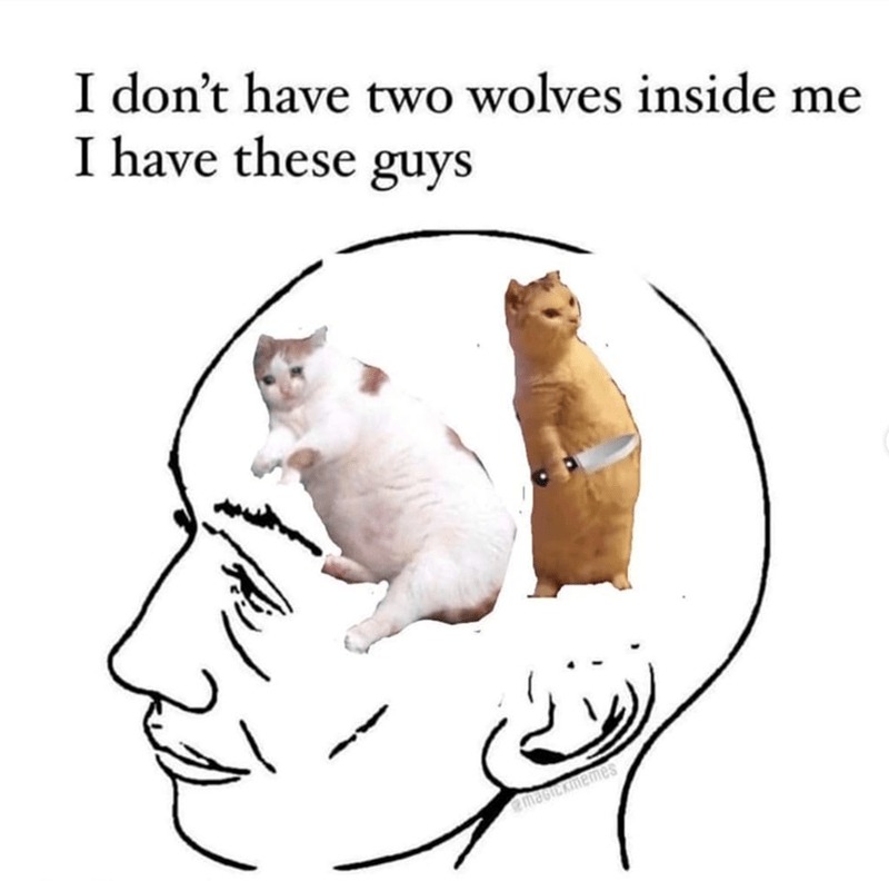 Latest memes / New memes :) Memedroid