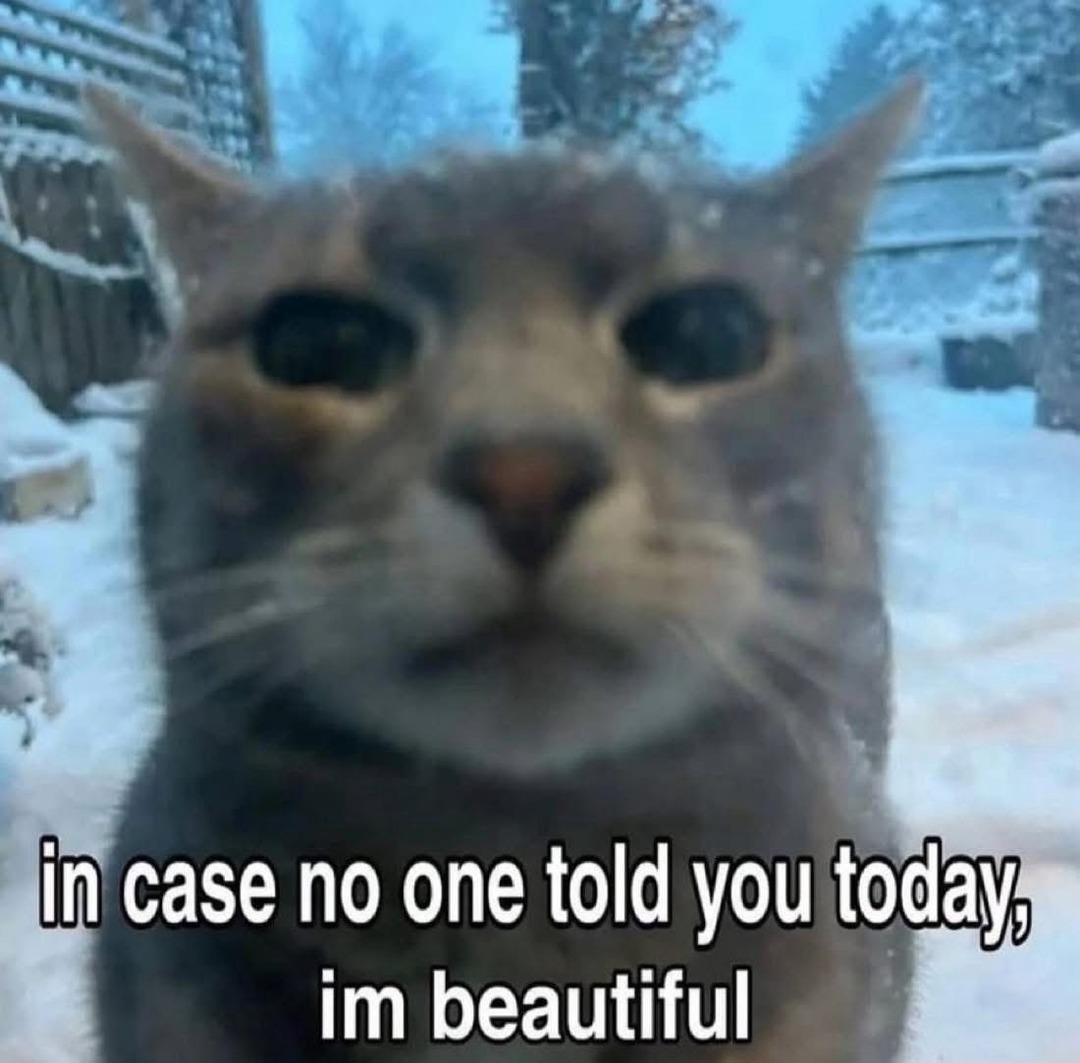 The best Compliment memes :) Memedroid