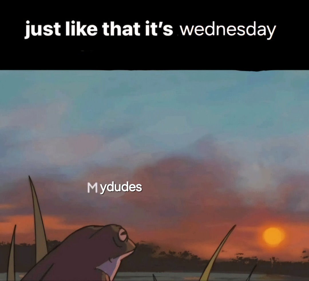 The best Frog memes :) Memedroid