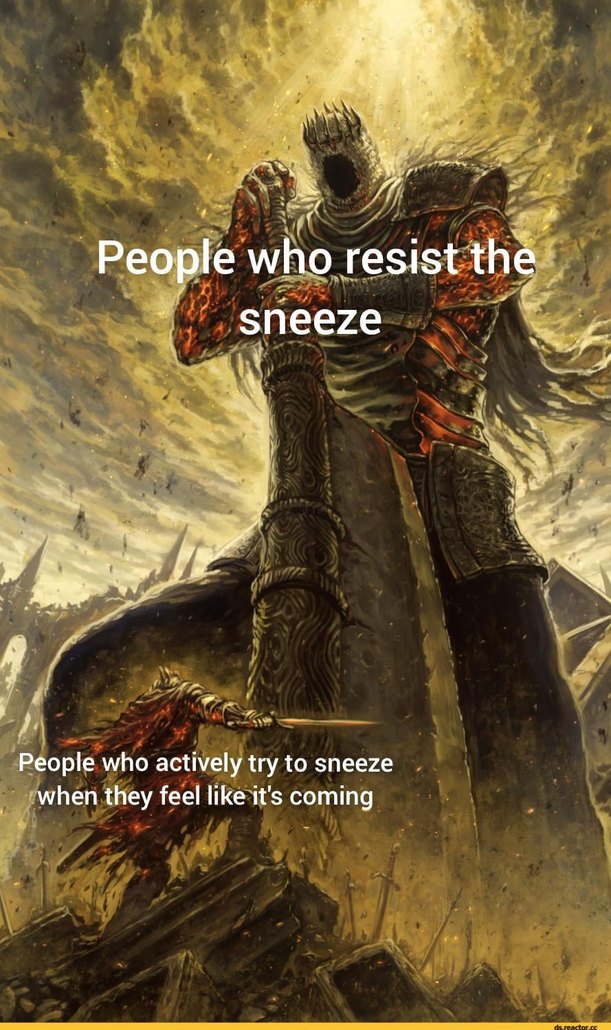 The best Sneeze memes :) Memedroid