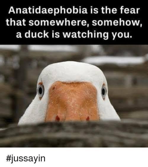 Spoopy - Meme by LordFishon :) Memedroid