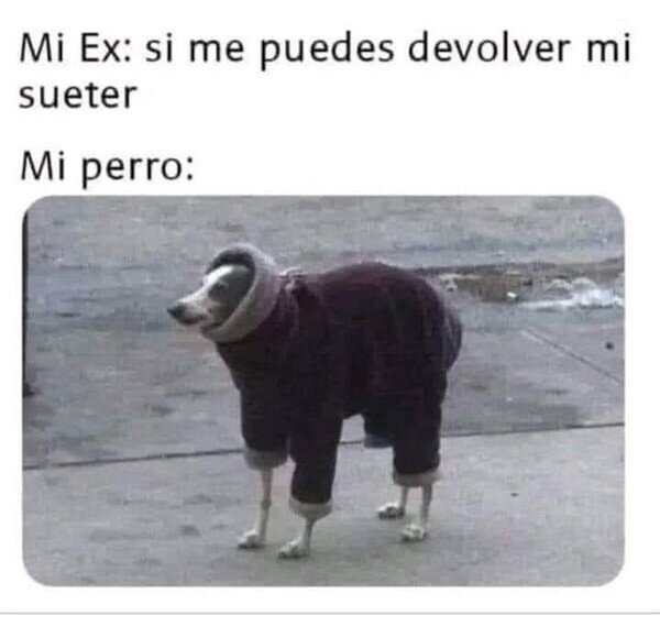 Los Últimos Memes :) Memedroid