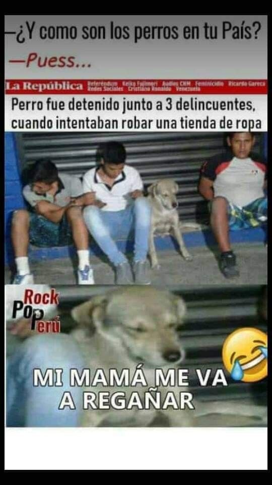 Top memes de Pedritos en español :) Memedroid