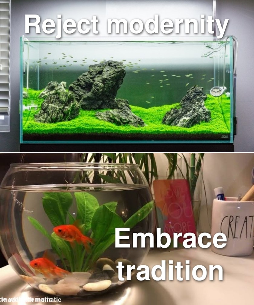 Top memes de Pecesitokawaii en español :) Memedroid