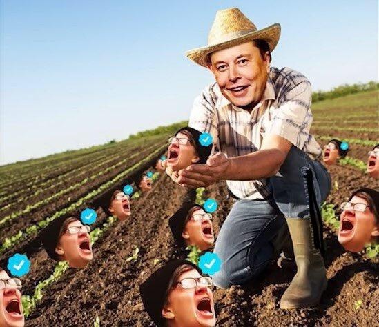 Learn to code - Meme by Bloodnut187 :) Memedroid