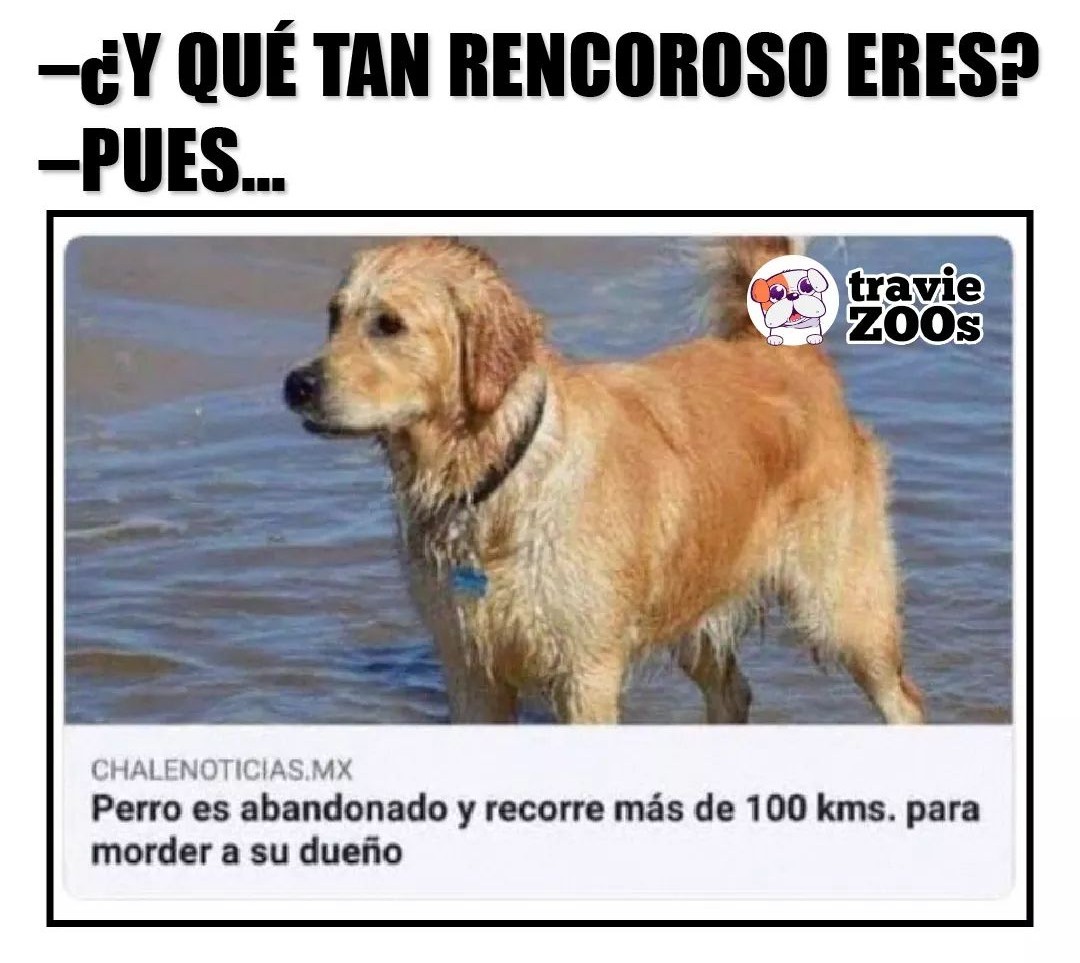 Bien - Meme subido por wolschaldo :) Memedroid