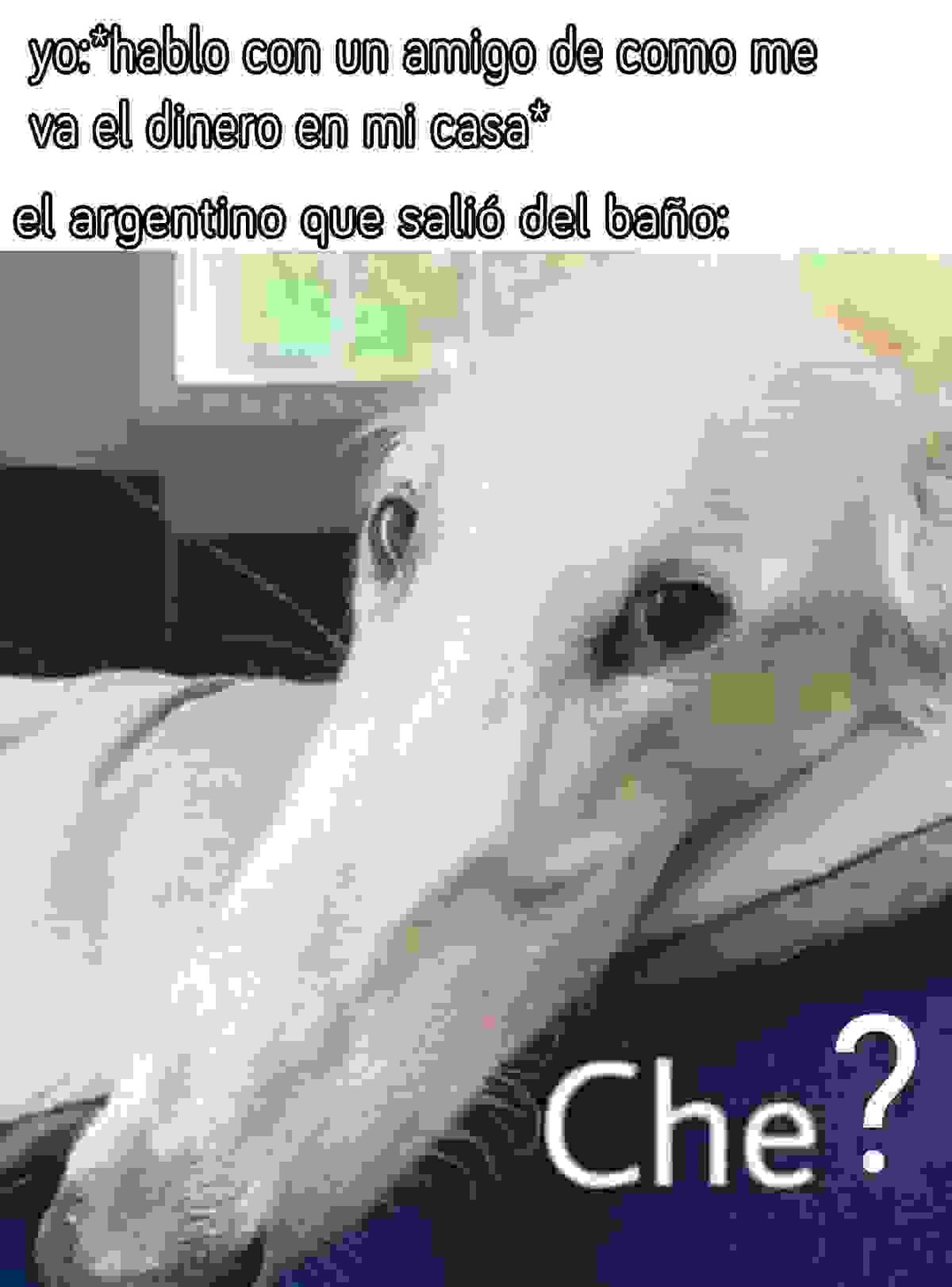 che - Meme subido por usuario_del_2020_xd :) Memedroid