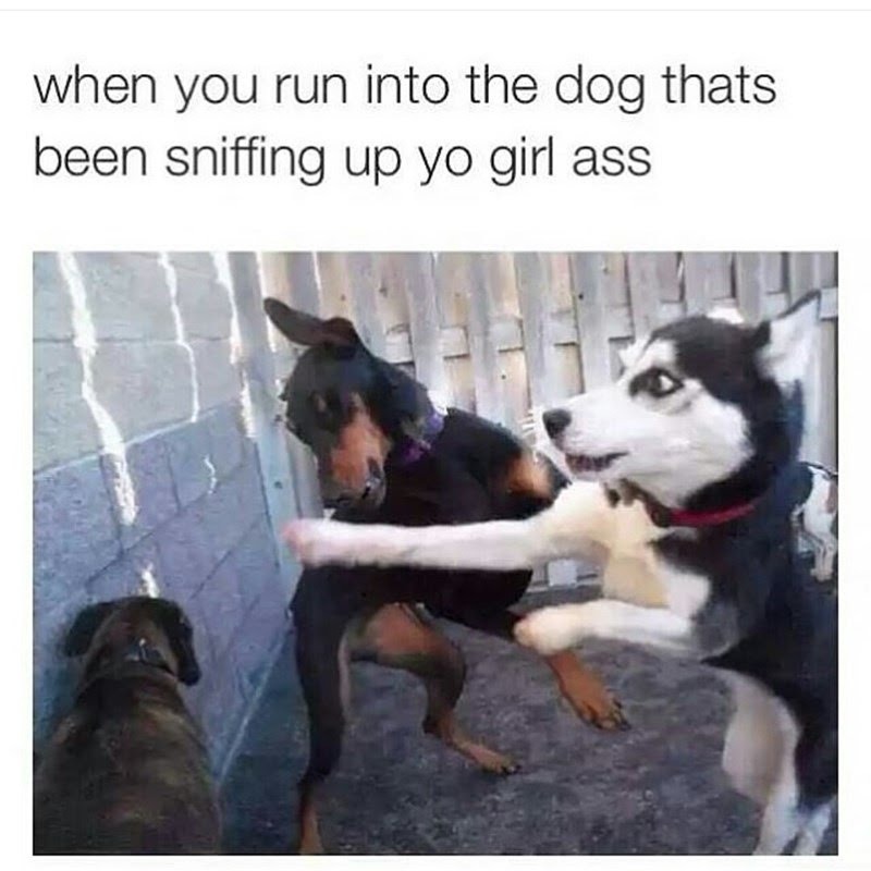 Latest memes / New memes :) Memedroid