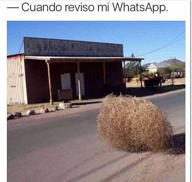 Bola De Heno Memes Paquete De 2 Bolas De Terapia Para Caballos,