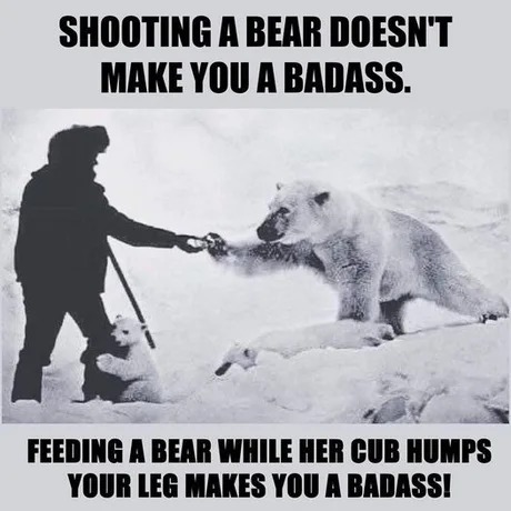 The best Bear memes :) Memedroid