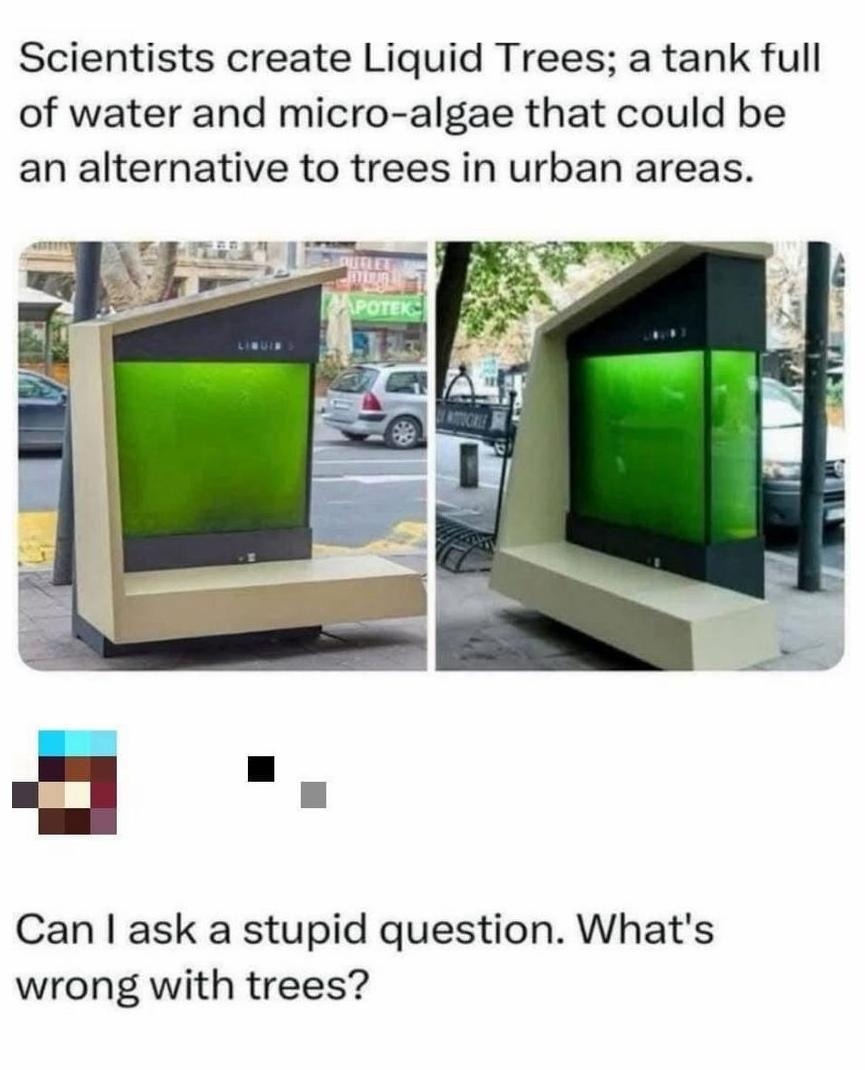 The best Tree memes :) Memedroid