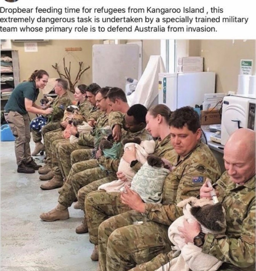 The best Australia memes :) Memedroid