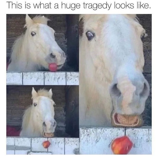 The best Perspective memes :) Memedroid