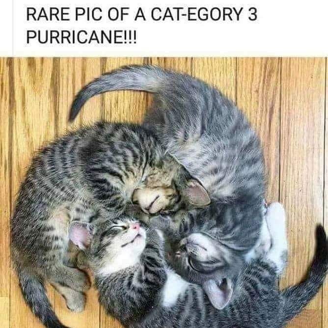 I'll hop right in - Meme by AweDani :) Memedroid