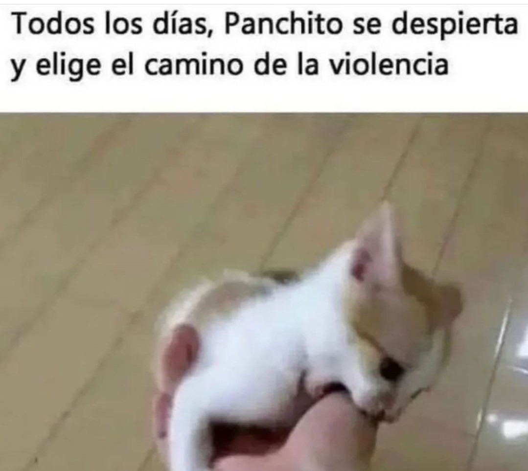 Panchito - Meme subido por Bite_Skull_Studios :) Memedroid