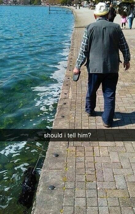 Dog XD - Meme subido por Elquedibuja :) Memedroid