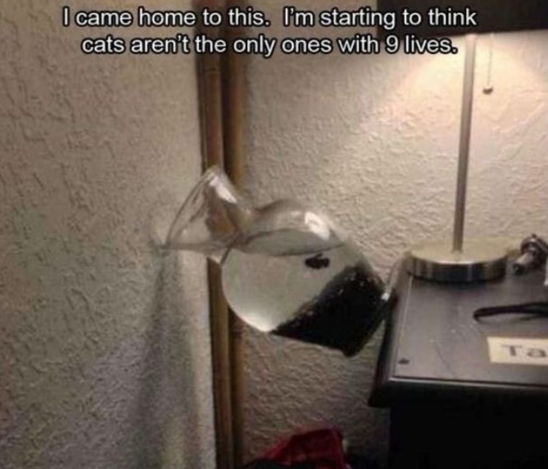 The best Survival memes :) Memedroid