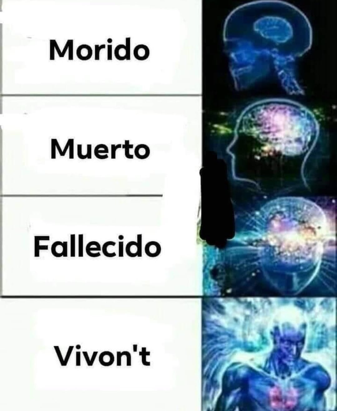 Memes Evolucion Cerebro