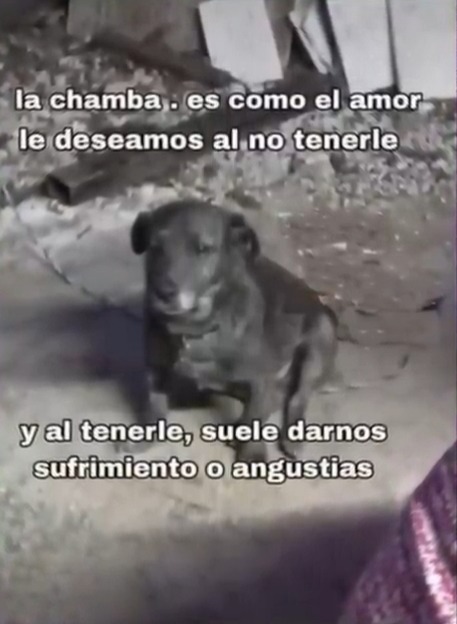 Top memes de Chamba en español :) Memedroid