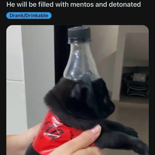 The best Drinkable memes :) Memedroid