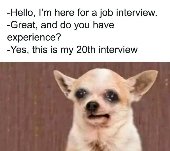 The best Experience memes :) Memedroid