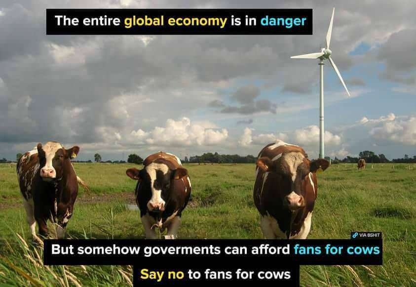 The best Cows memes :) Memedroid