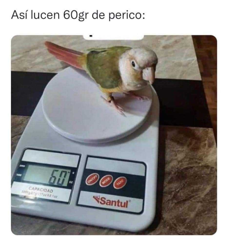 Exacto - Meme subido por elTxo :) Memedroid