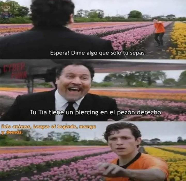 Los Últimos Memes :) Memedroid