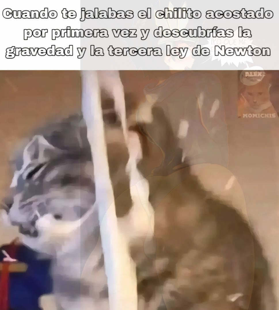 Top memes de Leche en español :) Memedroid