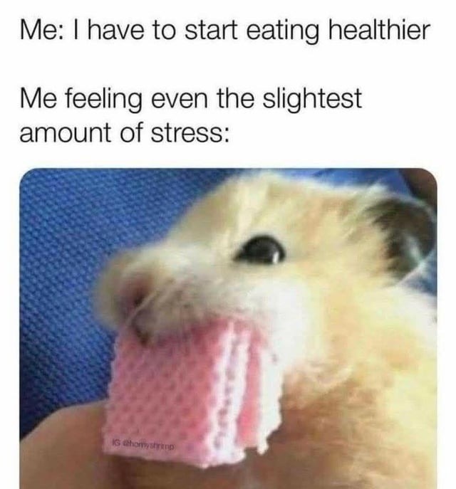 The best Stress memes :) Memedroid