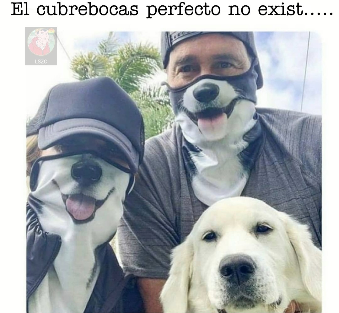 Perfección - Meme subido por LSZC :) Memedroid