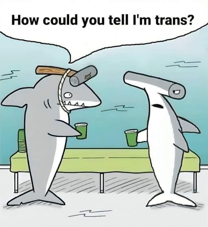 The best Trans memes :) Memedroid